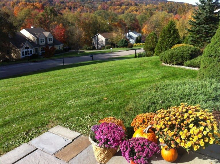 Fall Landscaping in Brilliant Colors - Landwork Contractors