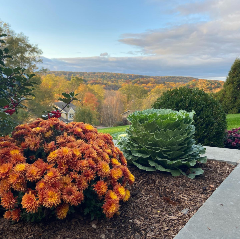 Trending Professional Landscape Designs For 2021 - Landwork Contractors